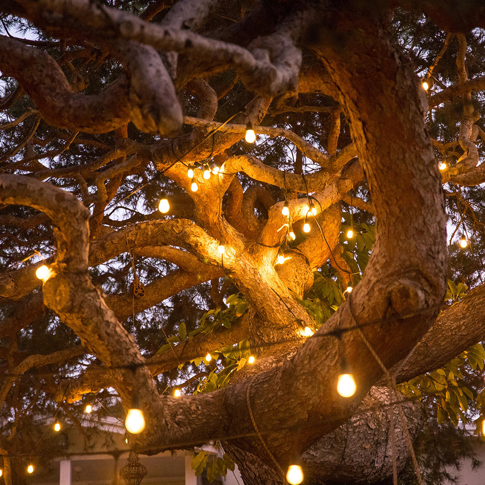 Best Solar String Lights 2026: Patio Picks — Gavler